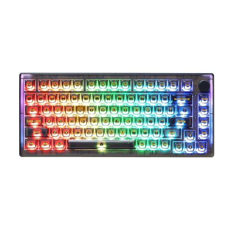 Keyboard คีย์บอร์ด Saru Kx 75 Gasket Mounted Design Custom Cosmic