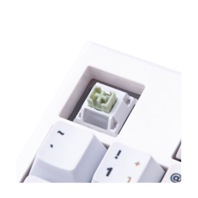 SWITCH (สวิตซ์) LOGA MECHANICAL SWITCHES : MATCHA LATTE (SILENT TACTILE ...